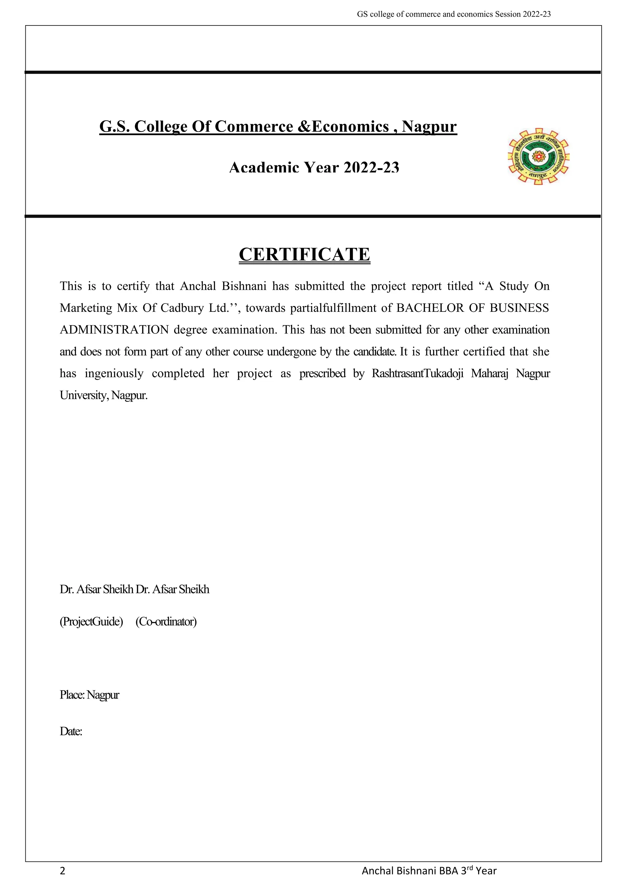 marketing project report with images pdf | PDF