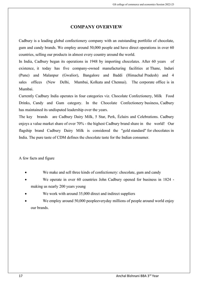 marketing project report with images pdf | PDF