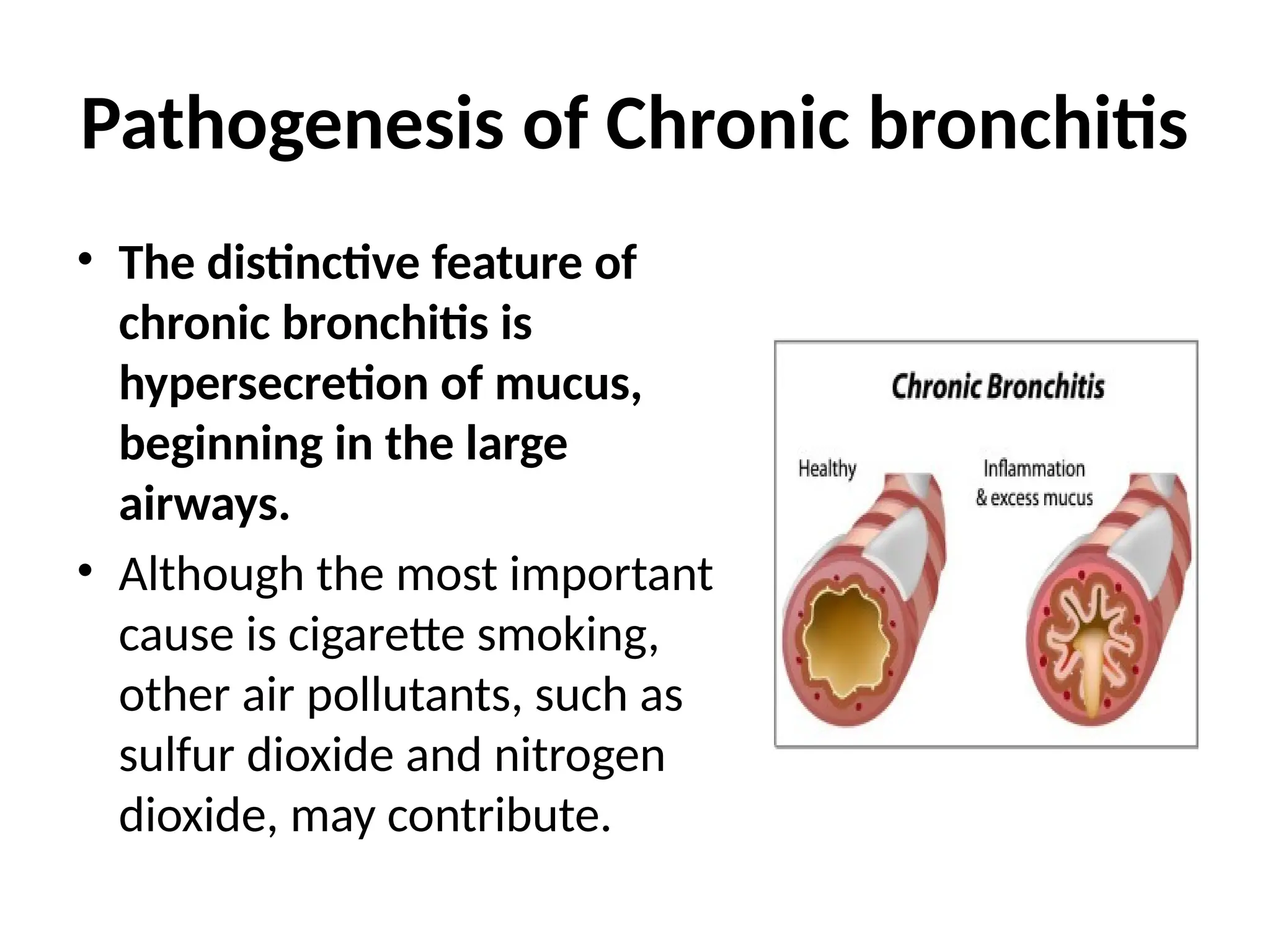 CHRONIC OBSTRUCTIVE PULMONARY DISEASE 🫁 | PPTX