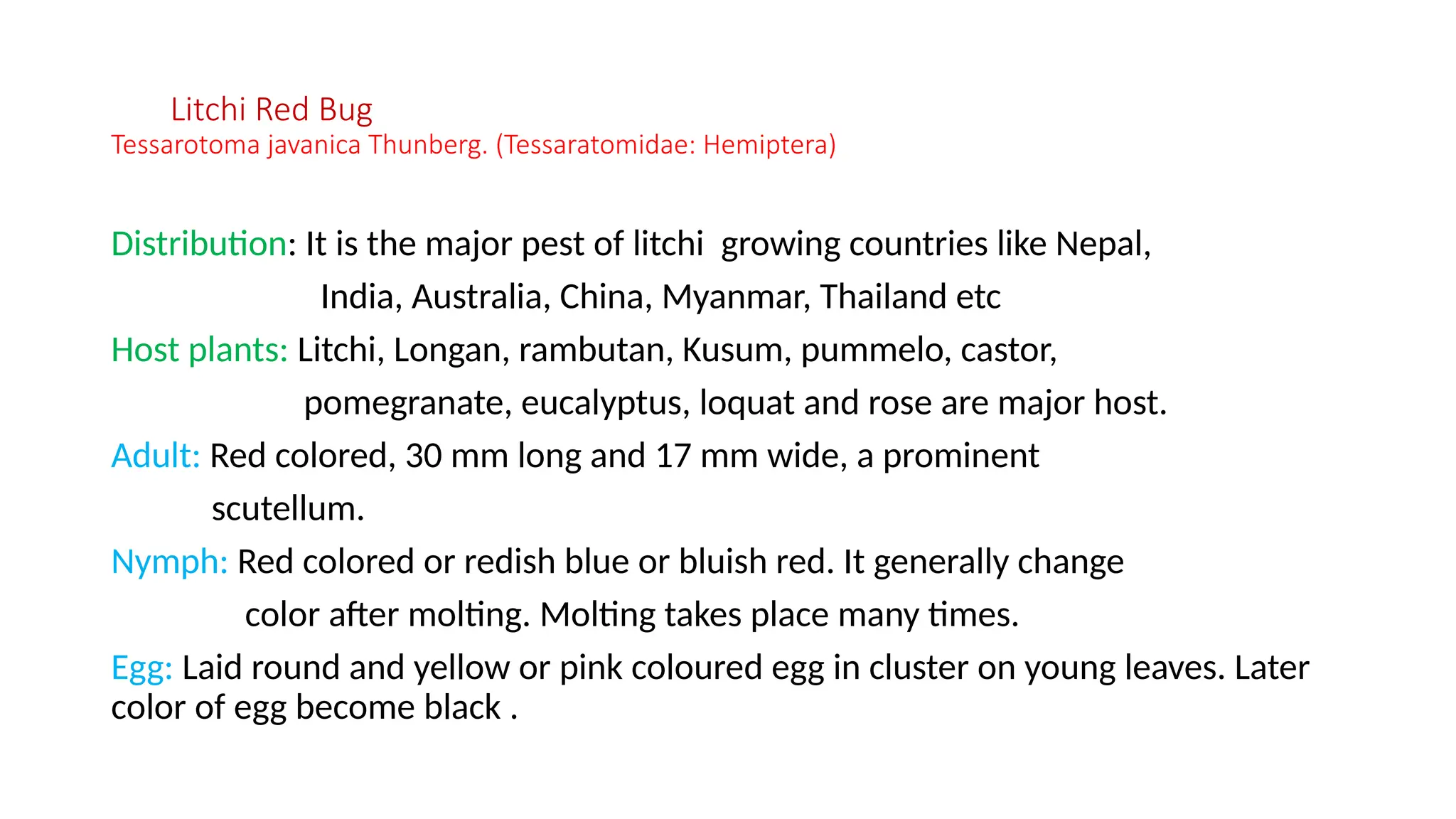 Presentation on the Insect Pests of Litchi | PPTX