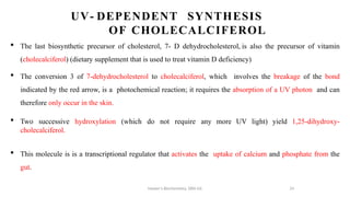 DPT - Biochemistry & Genetics - II (Metabolism of Lipids) Metabolism ...