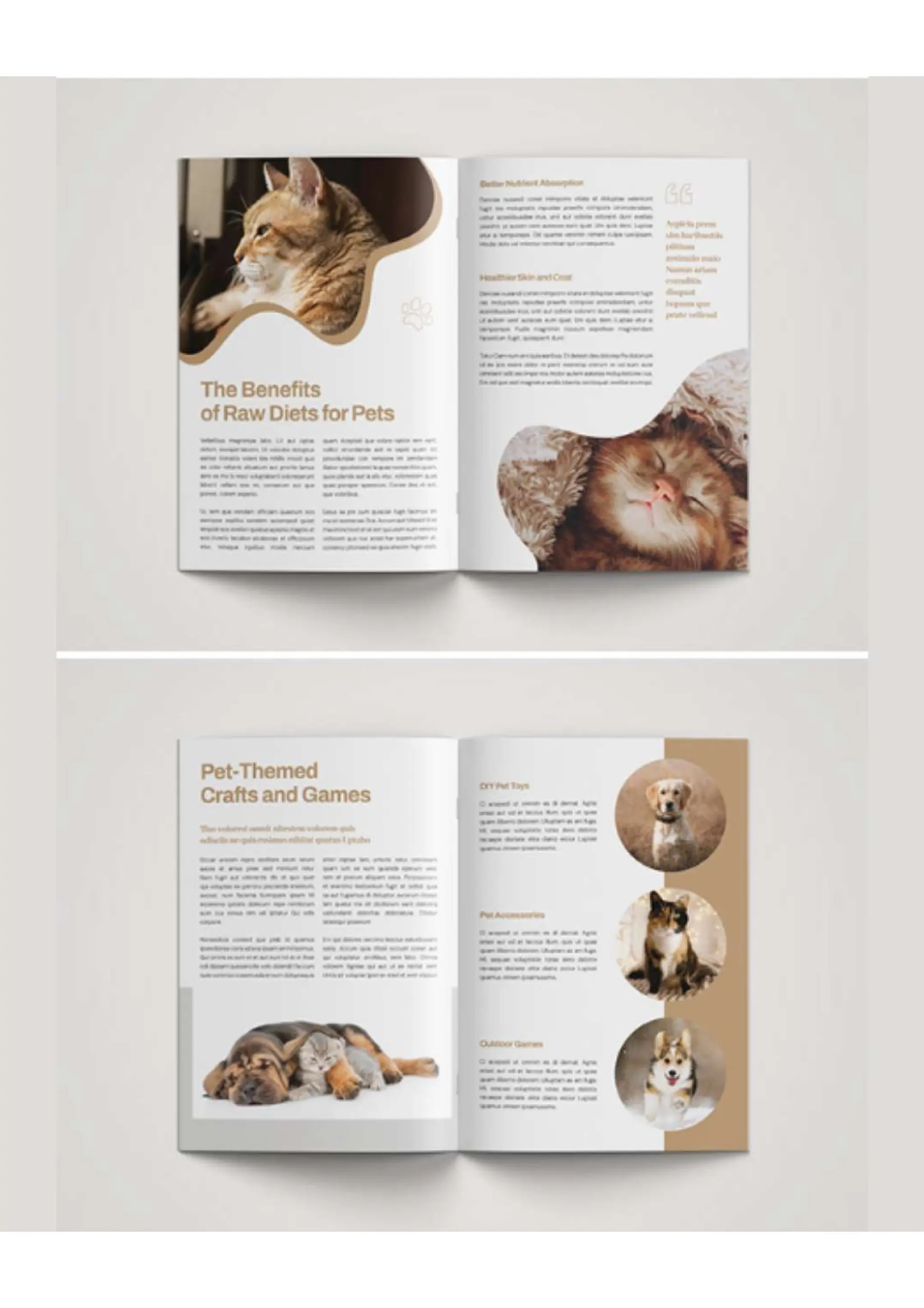 Pets Magazine Template | Pets magazine layout | PDF