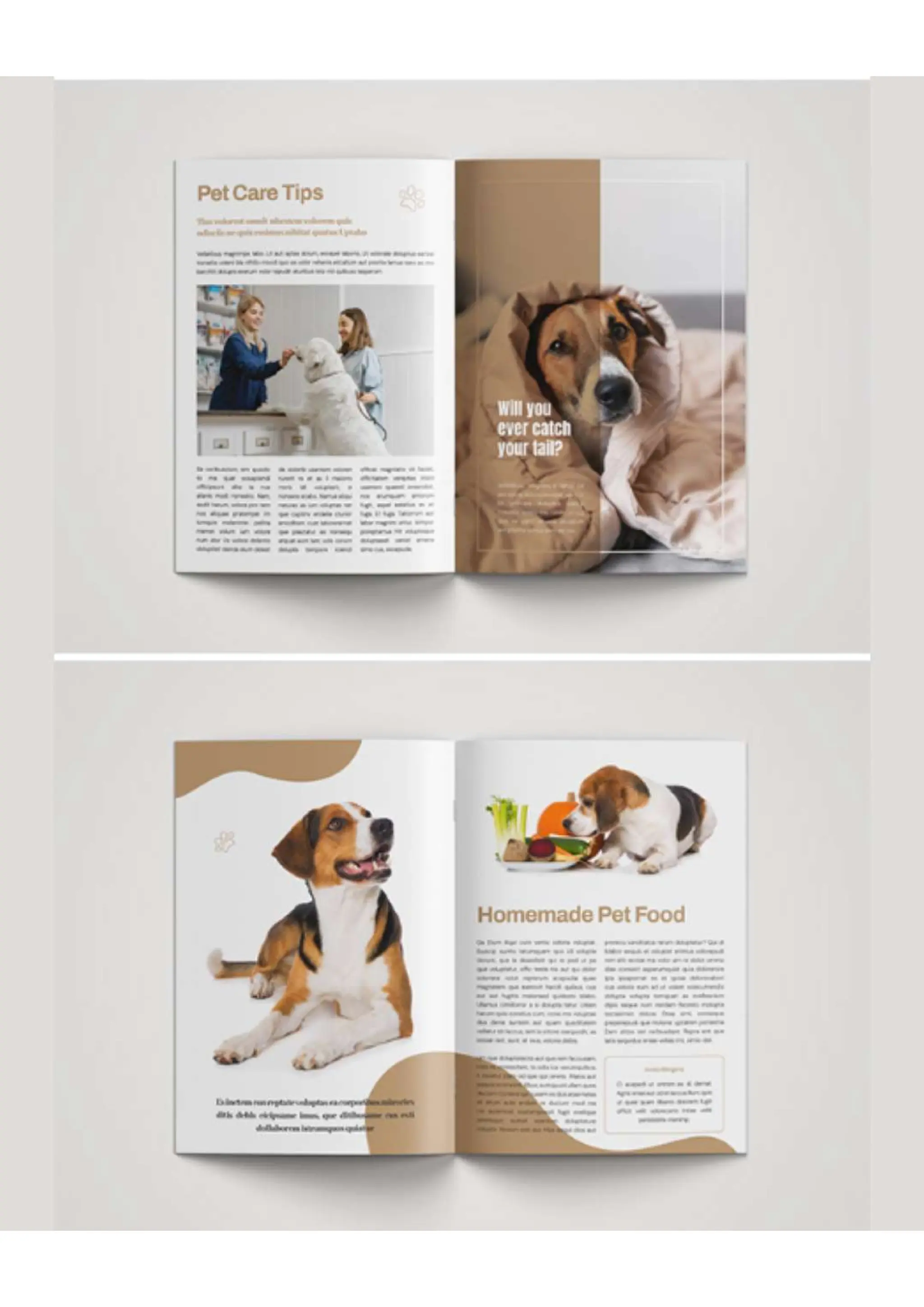 Pets Magazine Template | Pets magazine layout | PDF