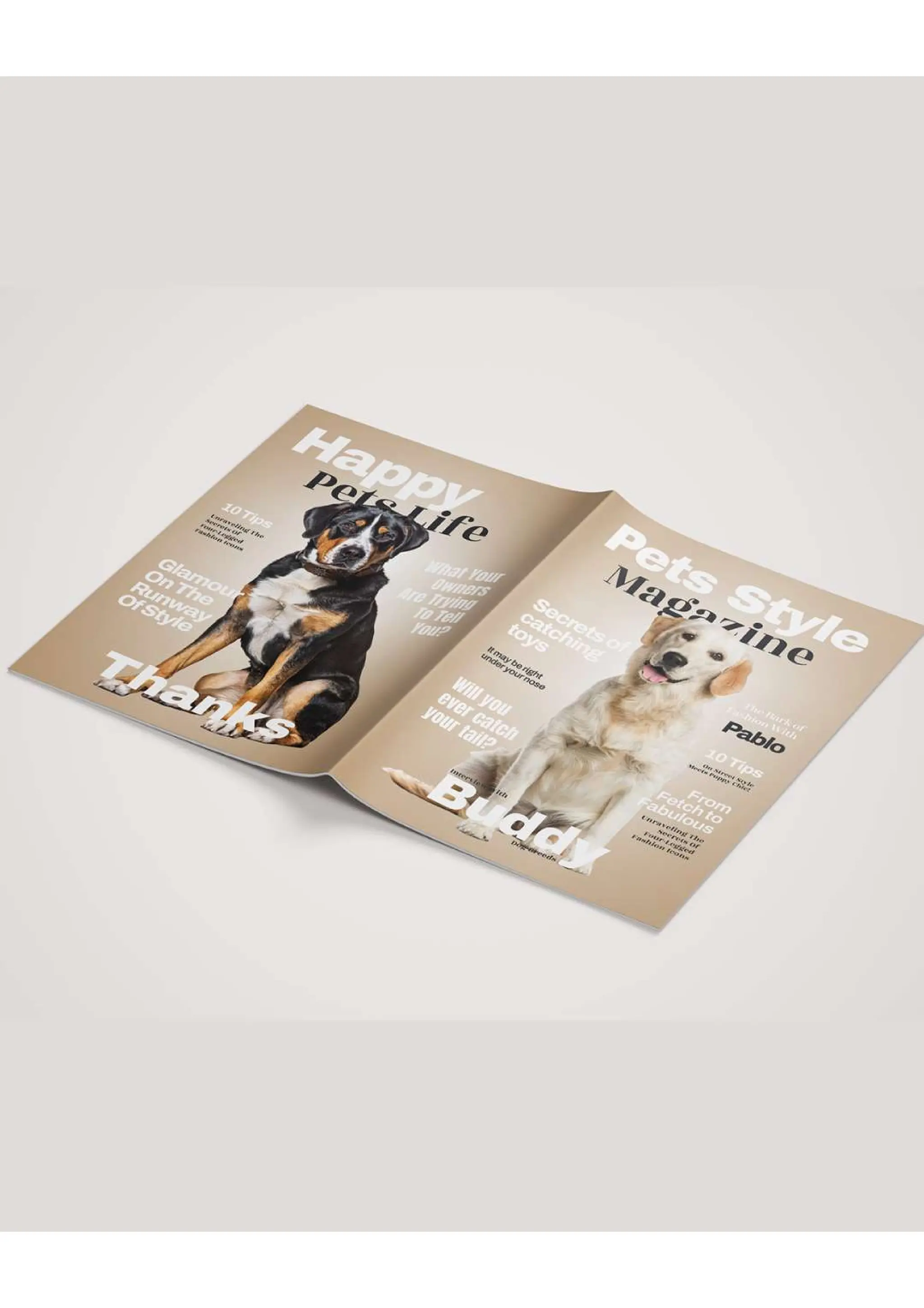 Pets Magazine Template | Pets magazine layout | PDF