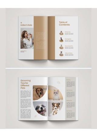 Pets Magazine Template | Pets magazine layout | PDF