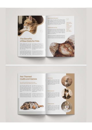 Pets Magazine Template | Pets magazine layout | PDF