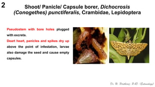 Pests of Cardamom_Identification_IPM_Dr.UPR.pdf