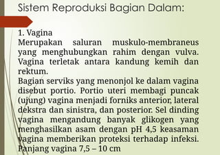 anatomi fisiologi sistem reproduksi.pptx