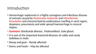 Hemorrhagic septicaemia.pptxjjtxutdtudyudiyfyifiyf | PPTX