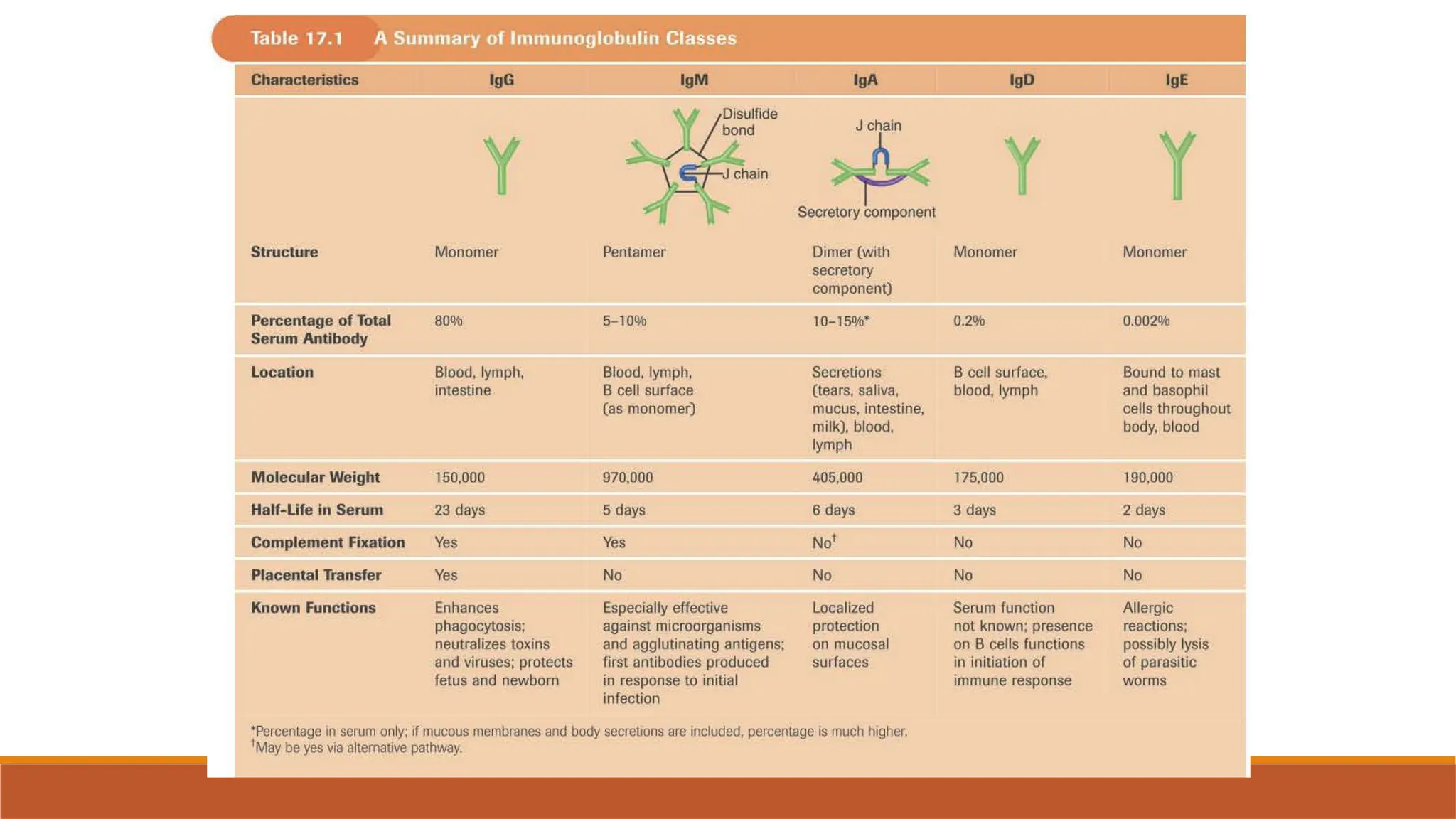 13. Types of Immunoglobulins and their specificity.pptx