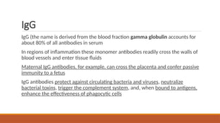 13. Types of Immunoglobulins and their specificity.pptx