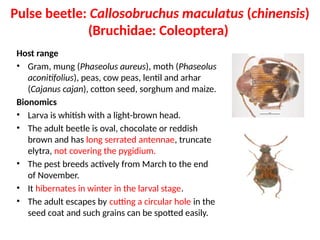 Ppt for stored production of pest and their management | PPTX