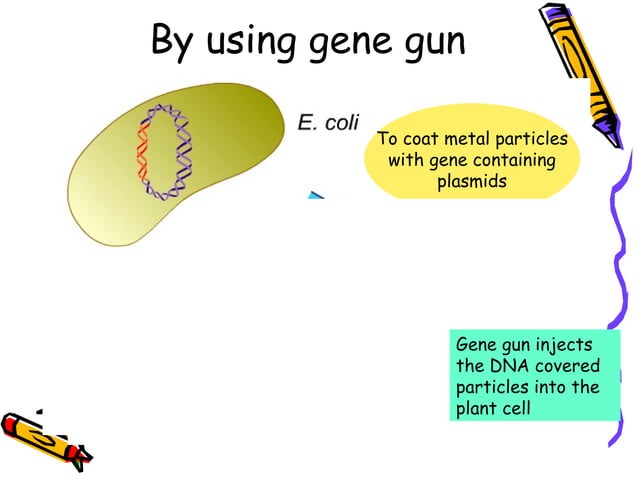 13-3 cell transformation