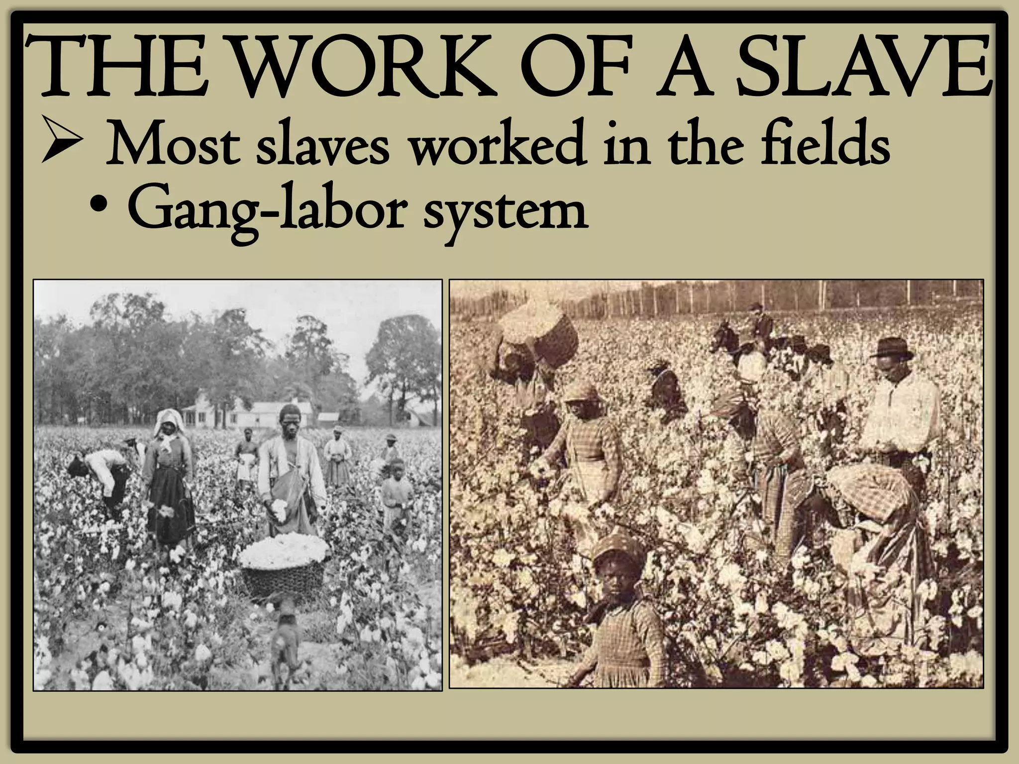 13 3 the slave system | PPTX | Crime & Harmful Acts to Individuals ...