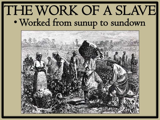 13 3 the slave system | PPTX | Crime & Harmful Acts to Individuals ...