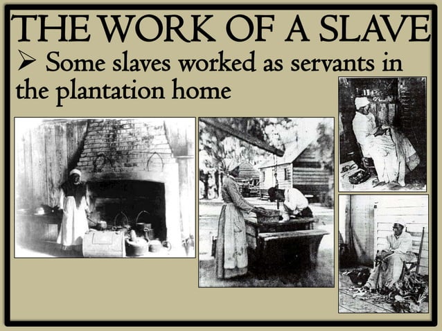 13 3 the slave system | PPT