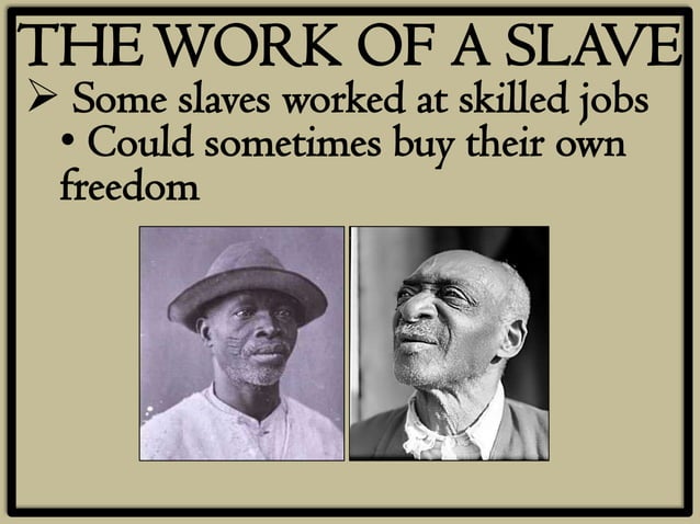 13 3 the slave system | PPTX | Crime & Harmful Acts to Individuals ...