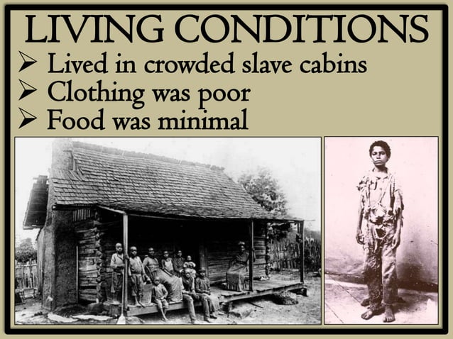 13 3 the slave system | PPT