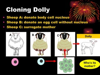 13 4 applications of genetic engineering | PPT