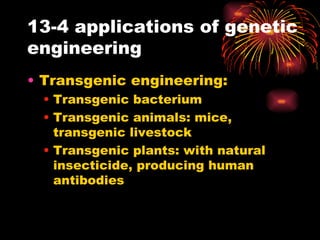 13 4 applications of genetic engineering | PPT