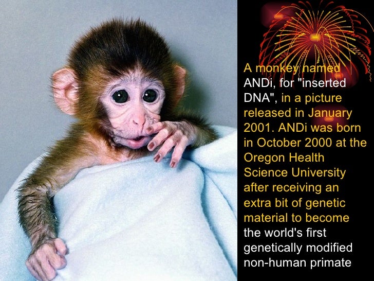 13 4 applications of genetic engineering