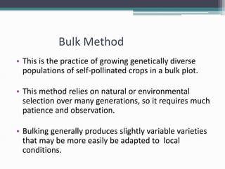 vegetable Breeding by adnan | PPTX