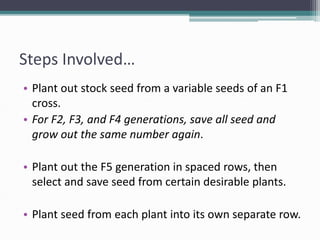vegetable Breeding by adnan | PPTX