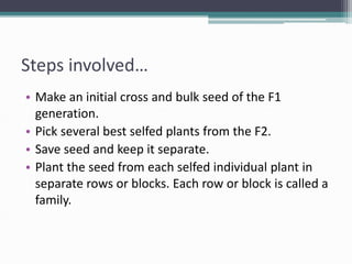 vegetable Breeding by adnan | PPTX