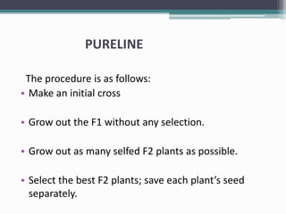 vegetable Breeding by adnan | PPTX