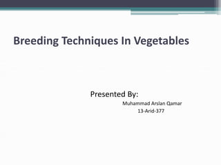 vegetable Breeding by adnan | PPTX