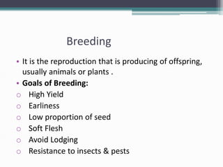 vegetable Breeding by adnan | PPTX