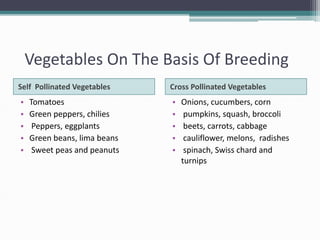 vegetable Breeding by adnan | PPTX