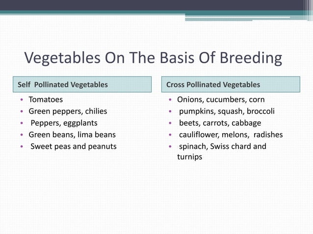 vegetable Breeding by adnan | PPTX