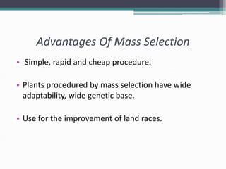 vegetable Breeding by adnan | PPTX