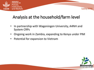 13 bioversity plan for gfsf | PPTX | Agriculture | Industries