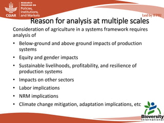 13 bioversity plan for gfsf | PPTX | Agriculture | Industries