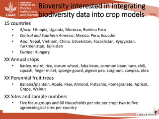 13 bioversity plan for gfsf | PPTX | Agriculture | Industries