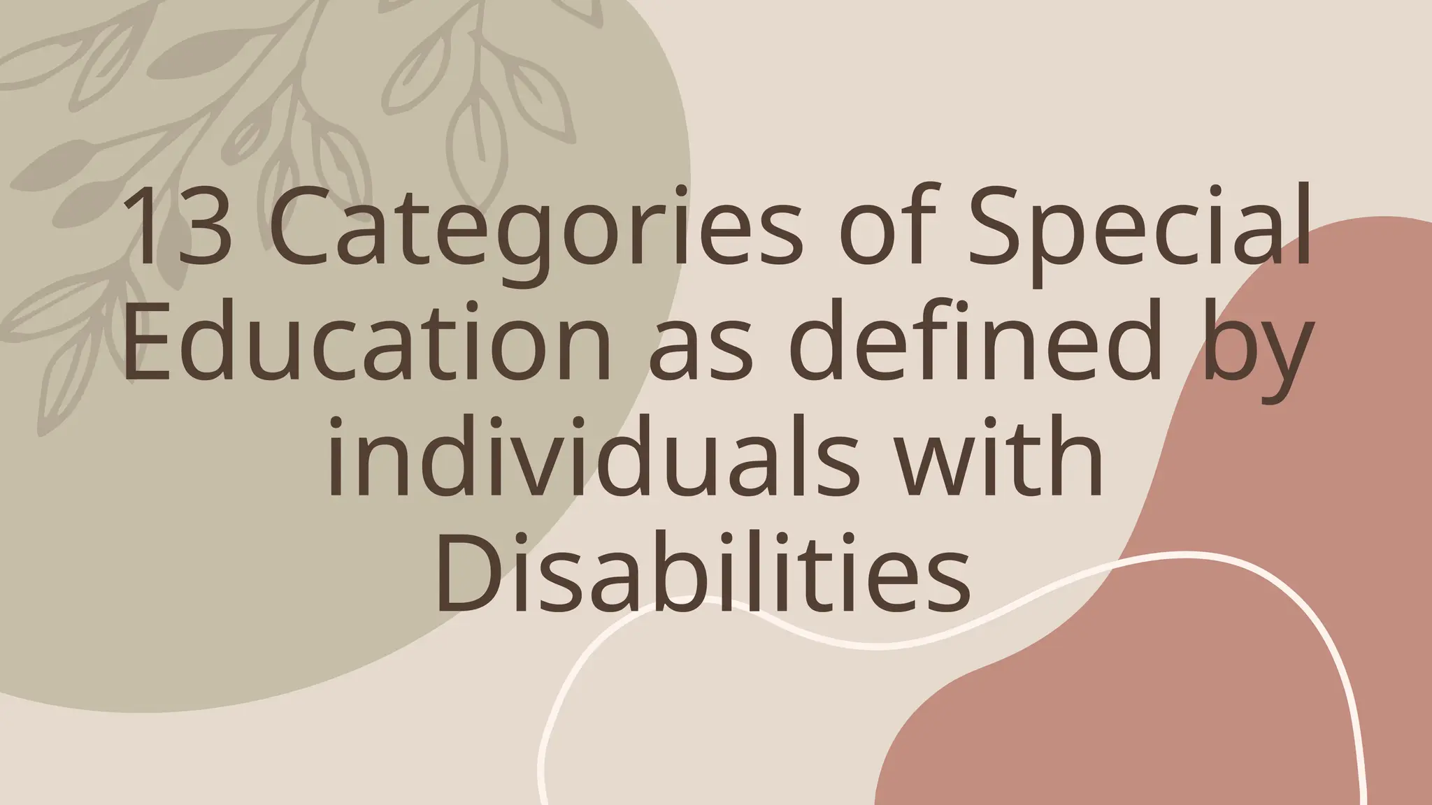 13-Categories-of-Special-Education-as-defined-by.pptx
