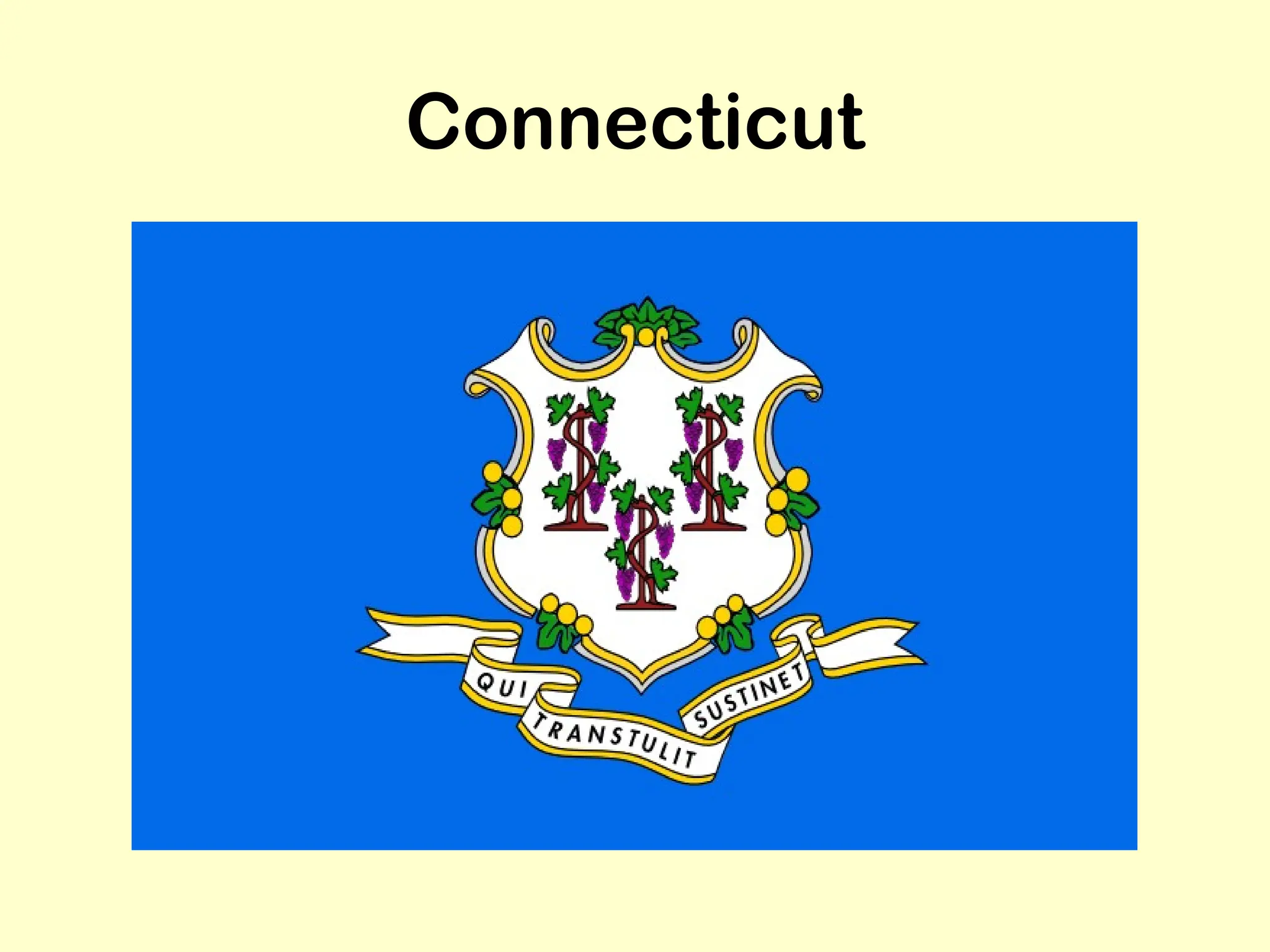 13 American Colonies and their state flags | PPT