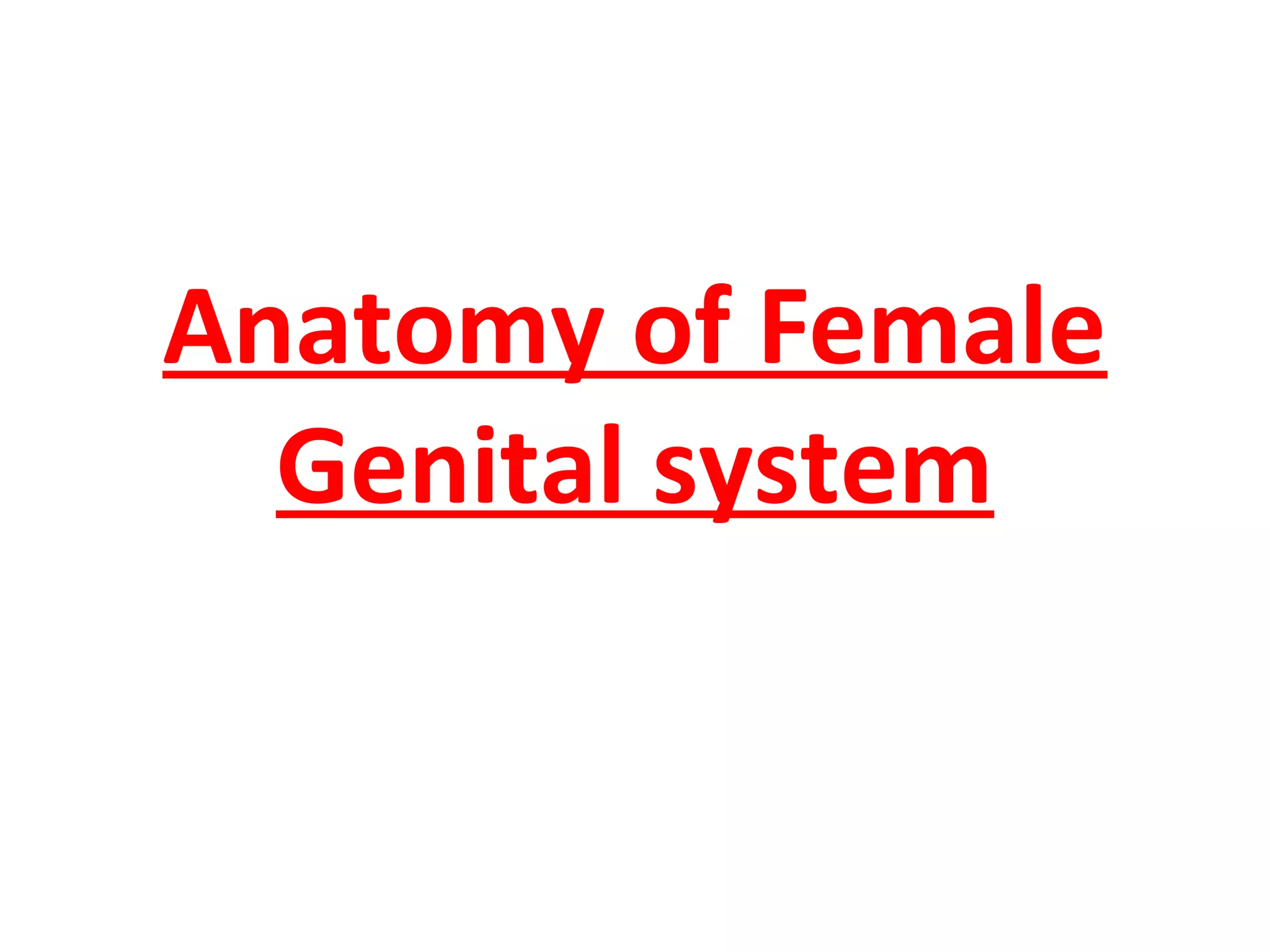 Development of Genital System (Special Embryology) | PPS