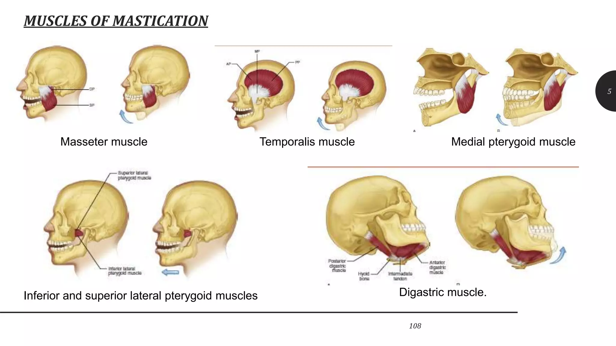 Diagnosis of temporomandibular disorders- Kelly | PPTX