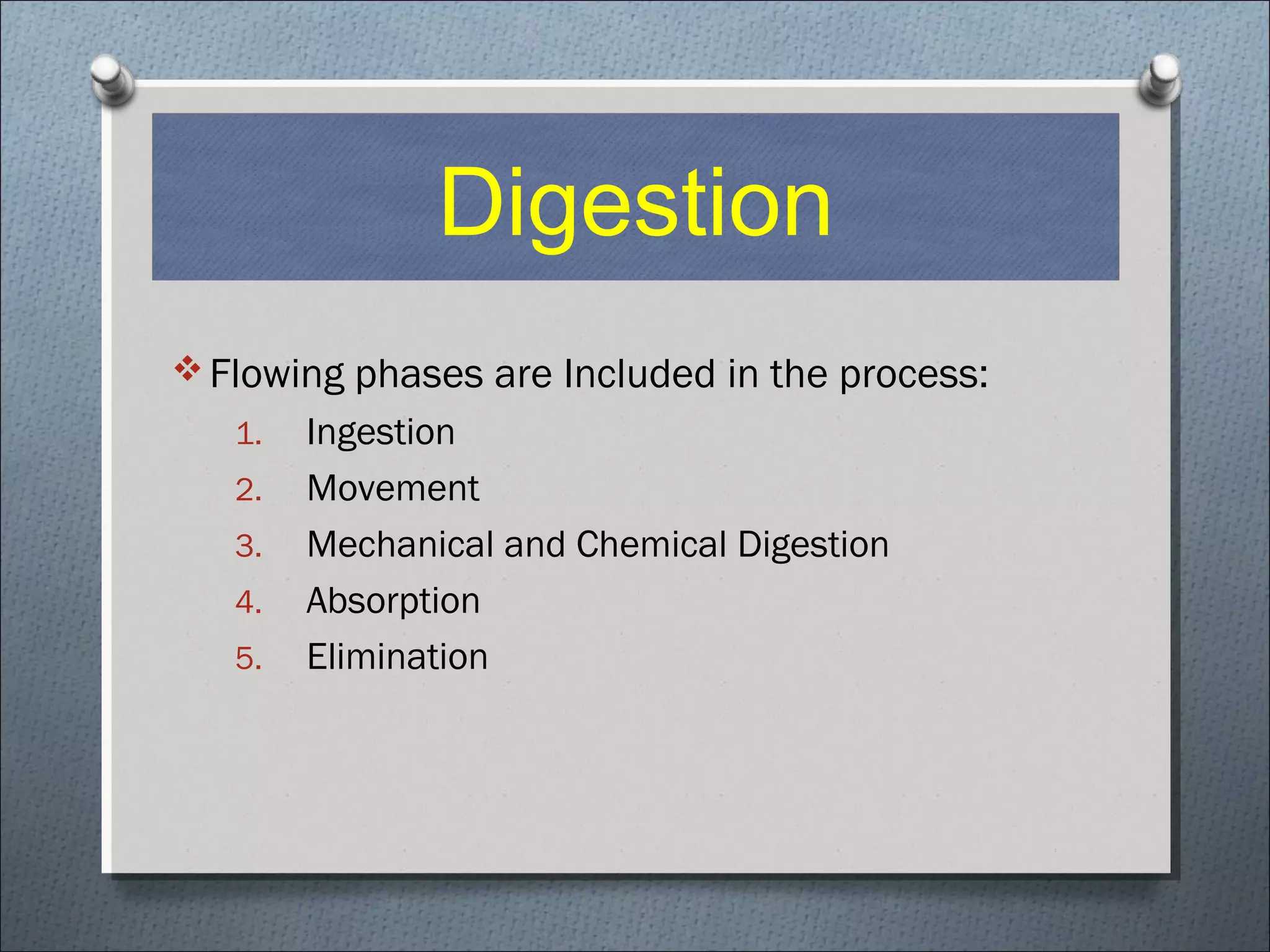 digestion | PPT