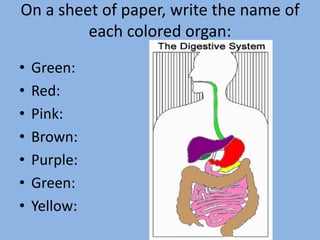13-digestion system new upload-digestion system.ppt