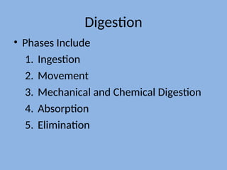 13-digestion system-13-digestion system.ppt