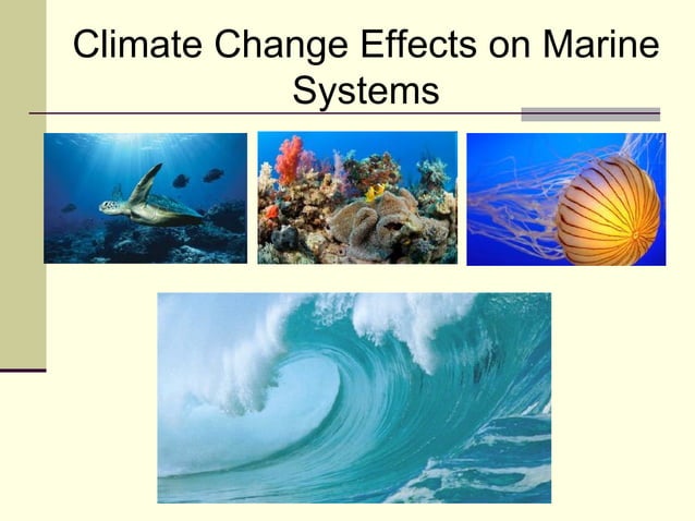 13 effects on oceans - updated | PPT