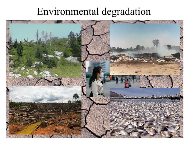 Environmental problems: basic vocabulary | PPT