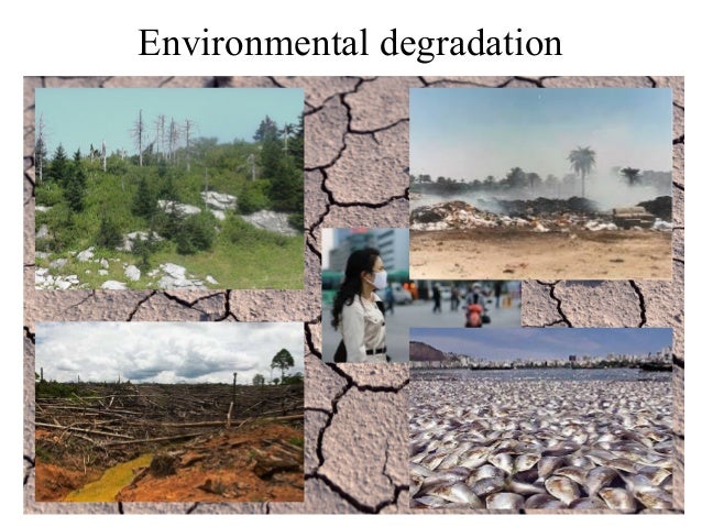 Environmental problems: basic vocabulary