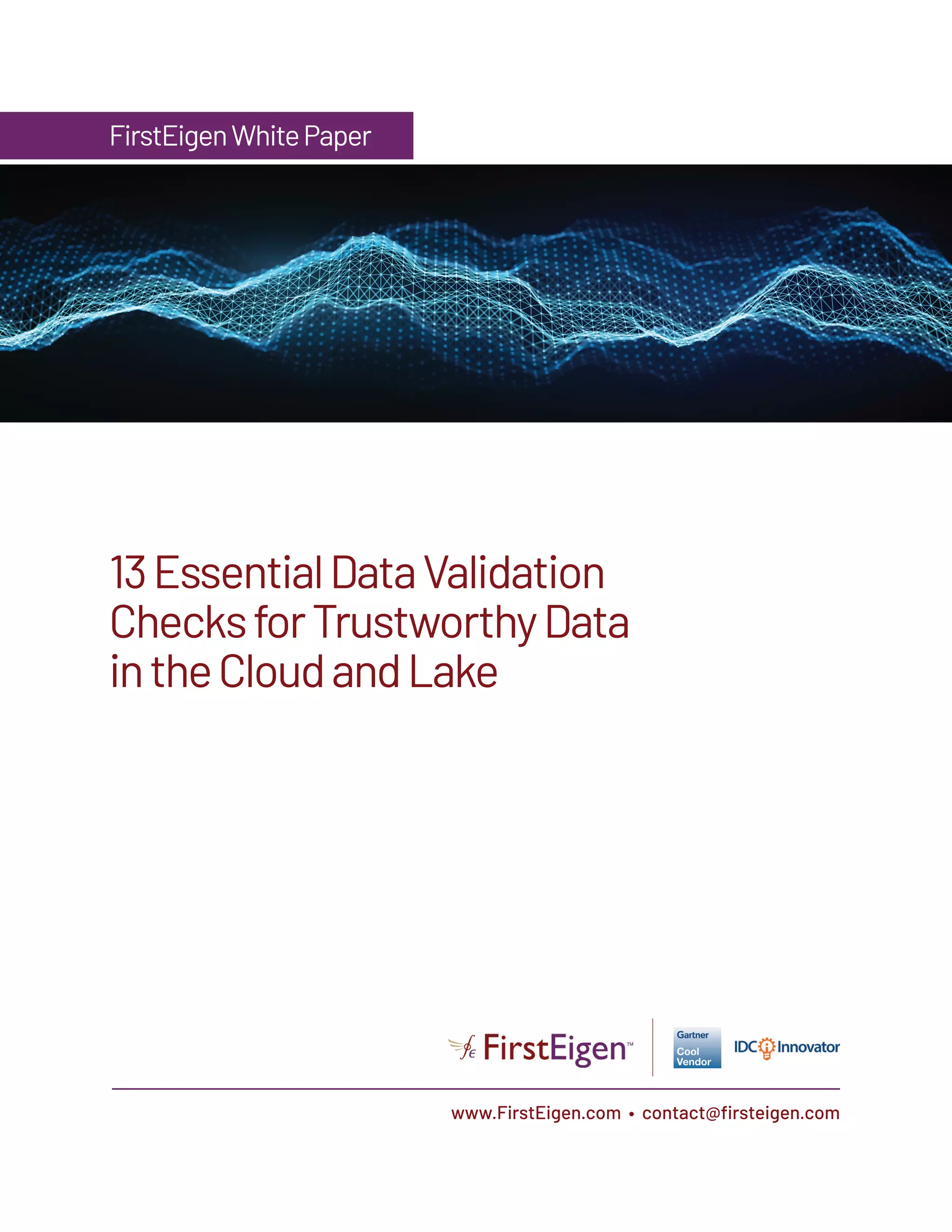 13-Essential-Data-Validation-Checks.pdf