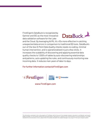 13-Essential-Data-Validation-Checks.pdf