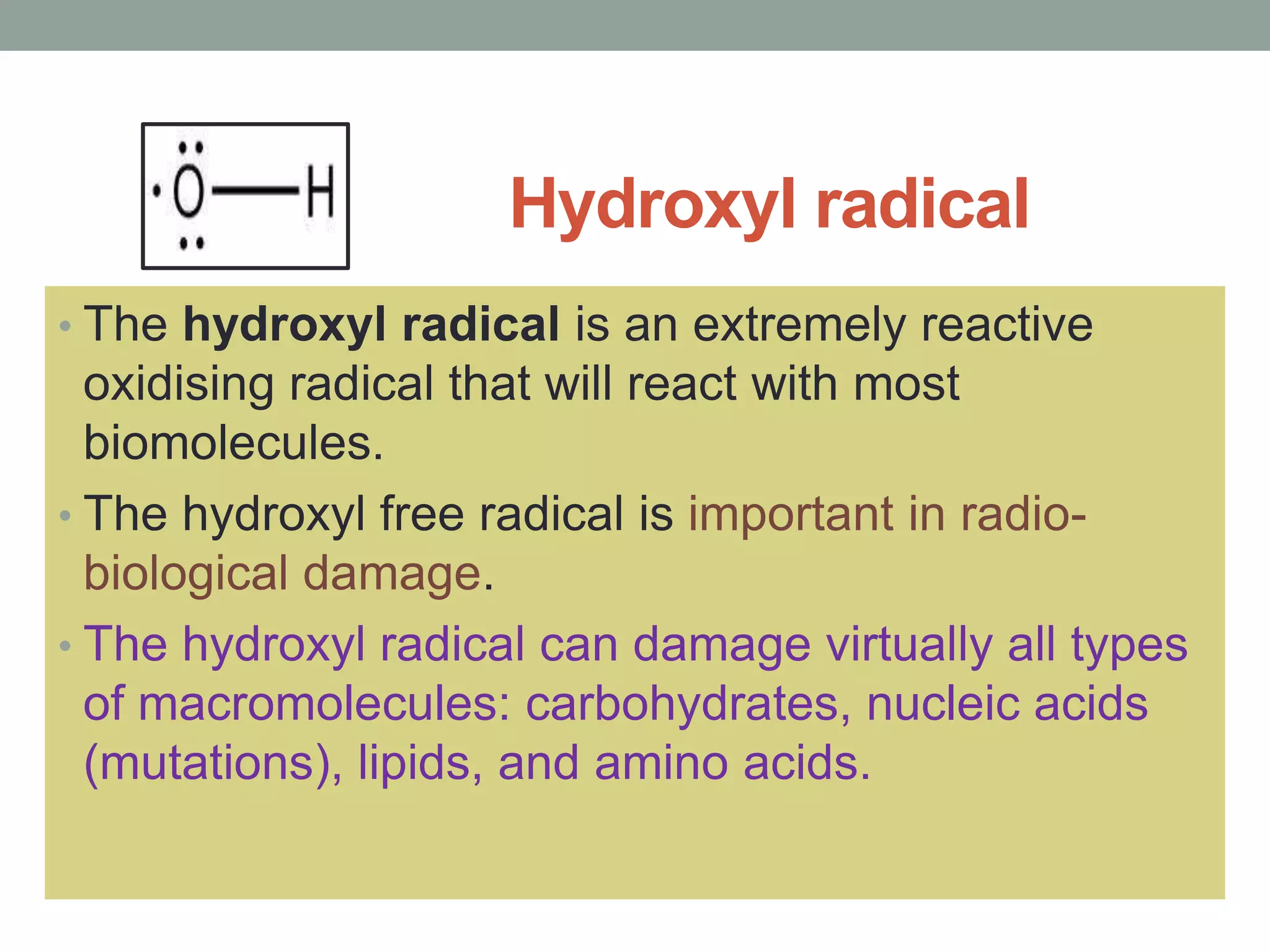 13. free radicals and antioxidants | PPTX